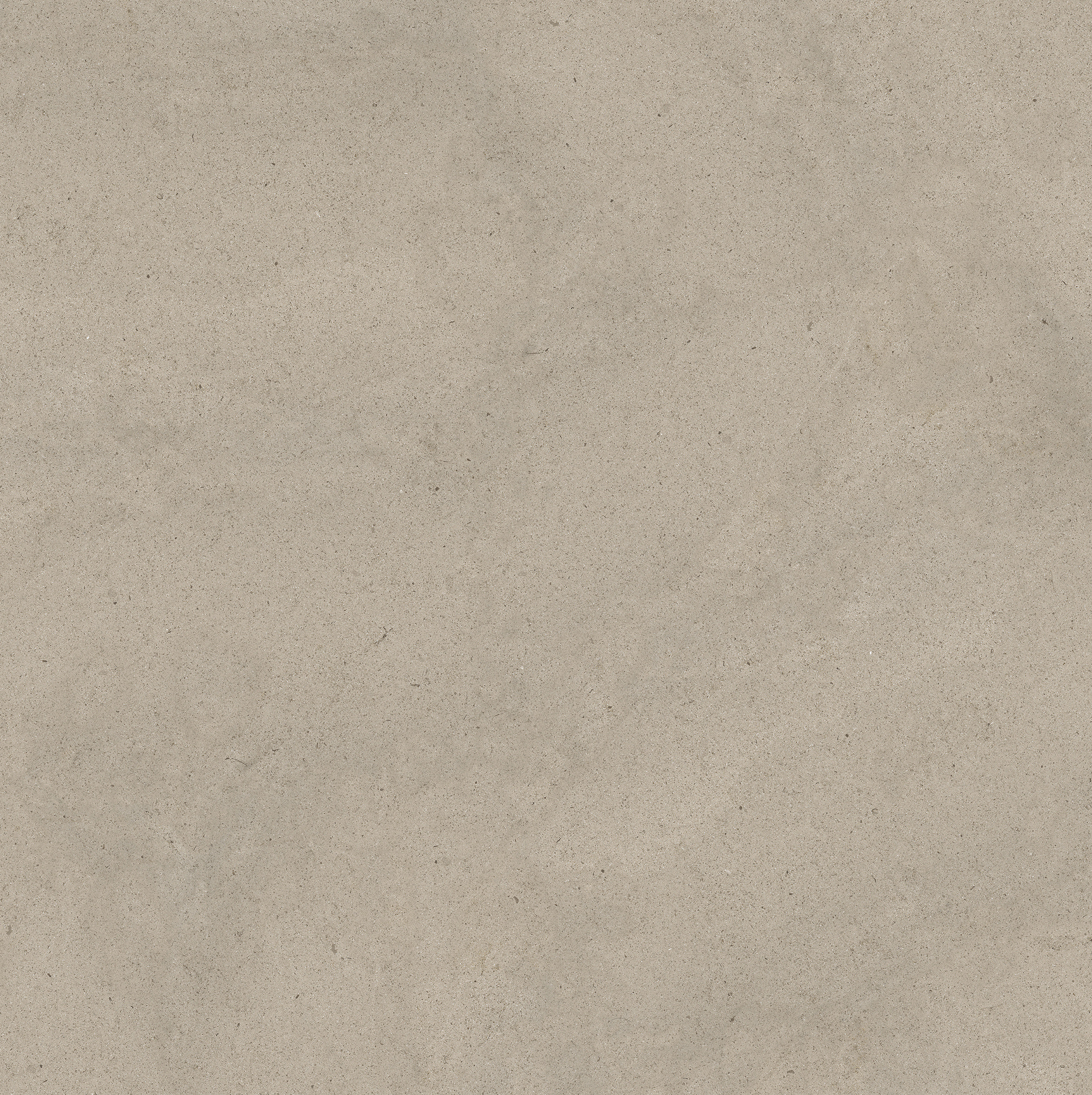Color Ivory Dust | Florim