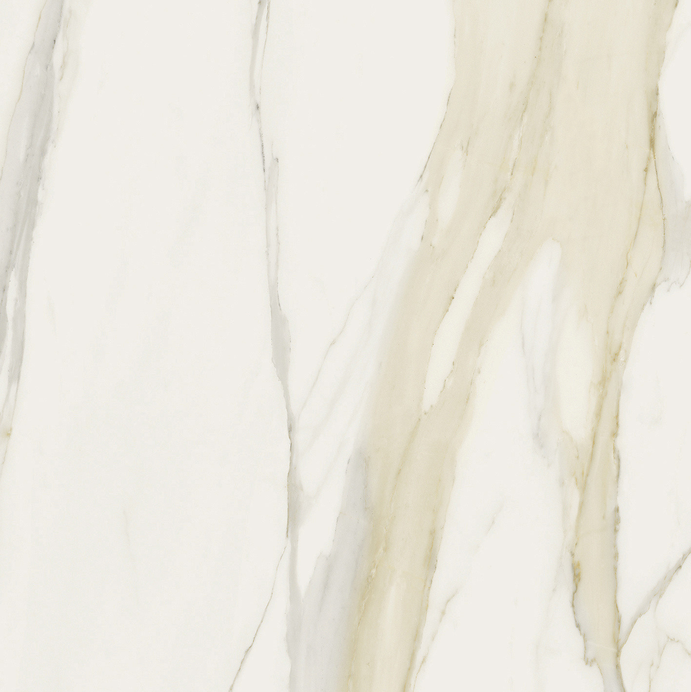 Color Calacatta Gold | Florim