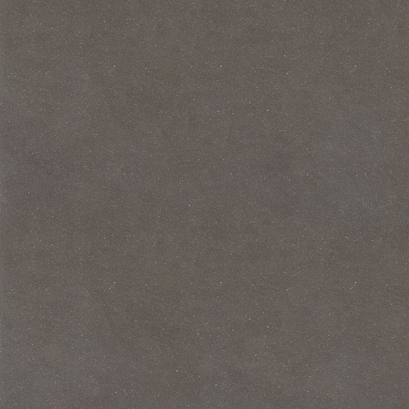 Color Carbon_Ground | Florim
