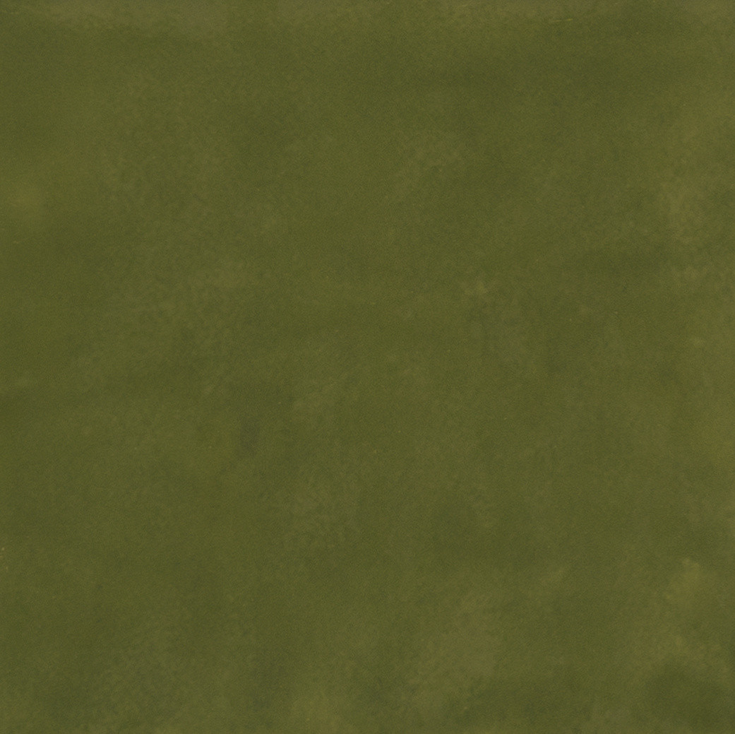 Color Muschio | Florim