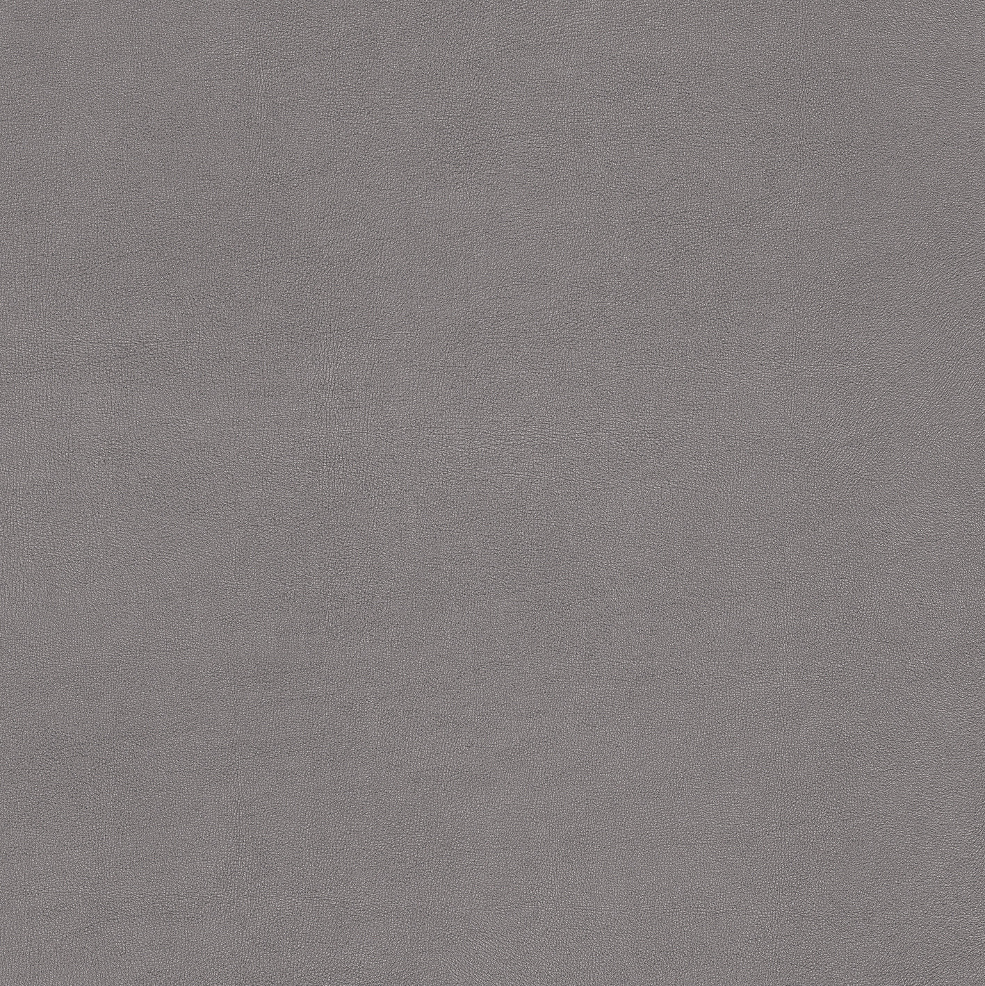 Color Radici Grigio | Florim