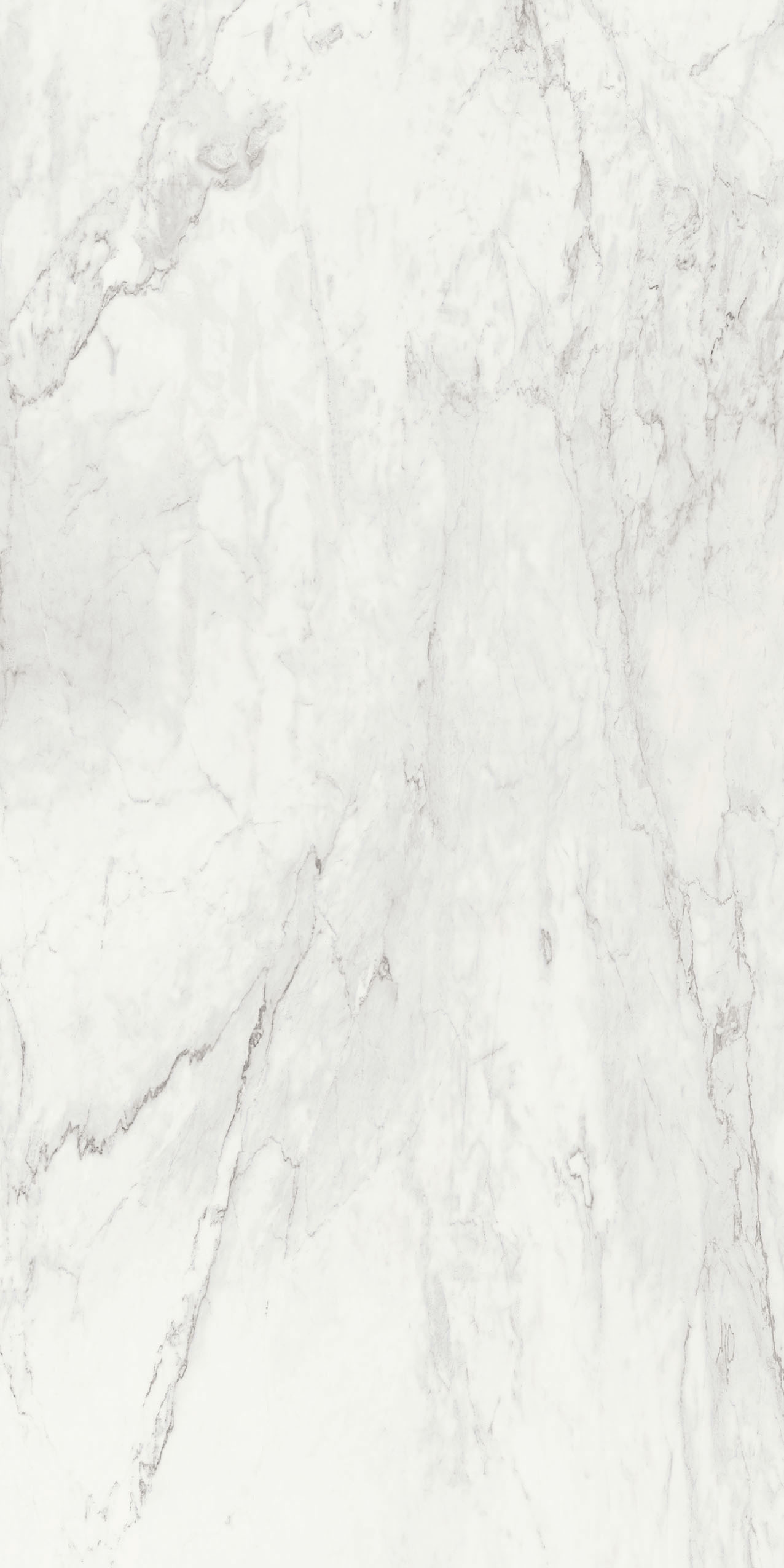 Calacatta Marble