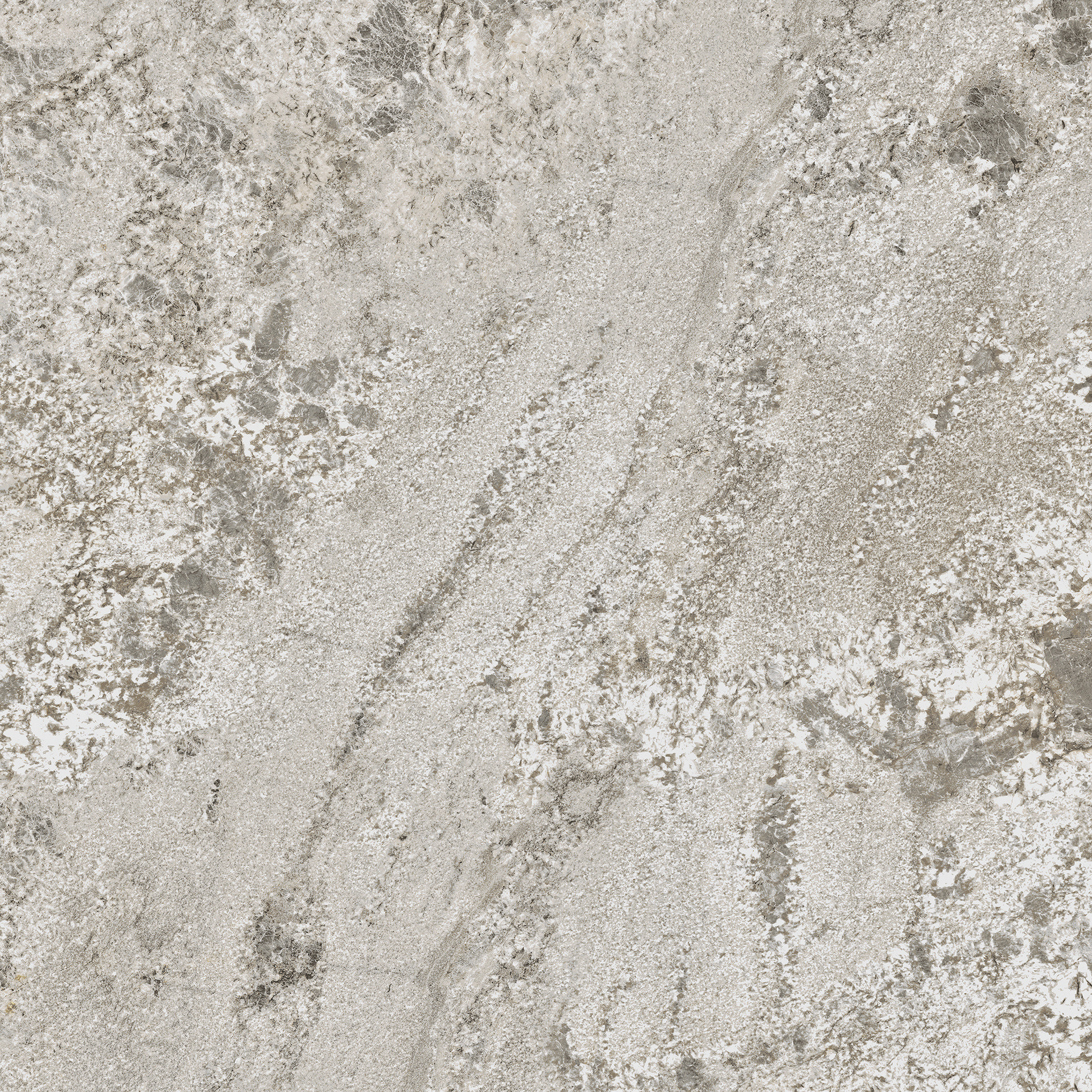 Color Plimagray/03 | Florim