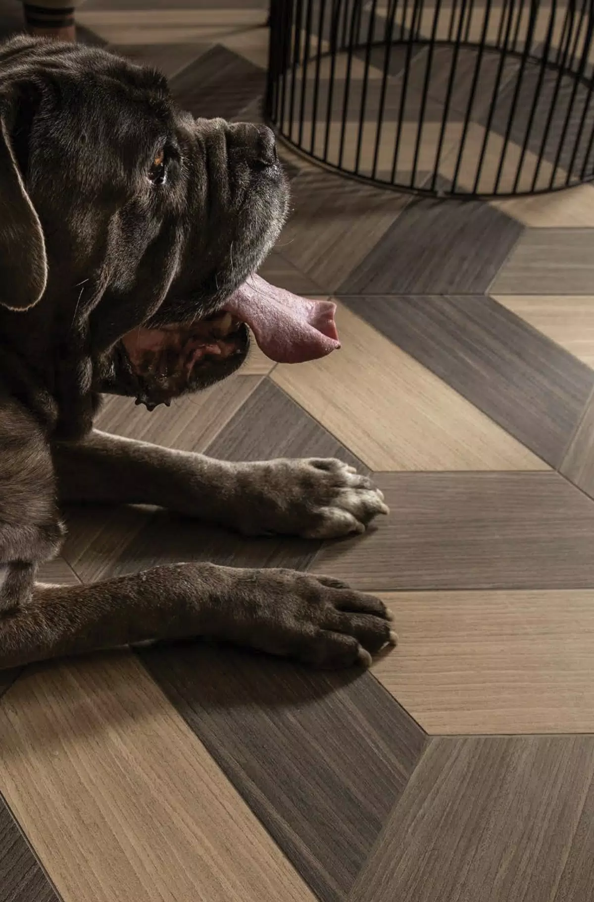 Collection Nature Mood | Florim