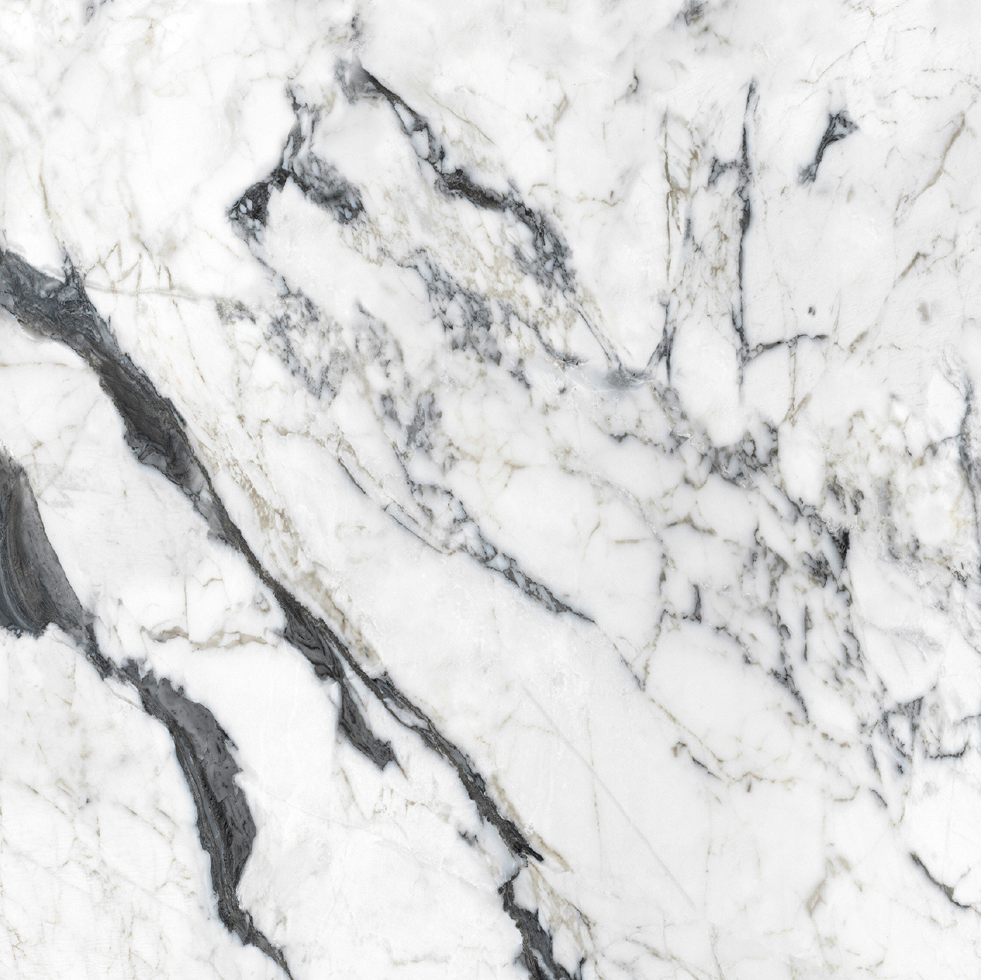 Color Calacatta Altissimo Blanc | Florim